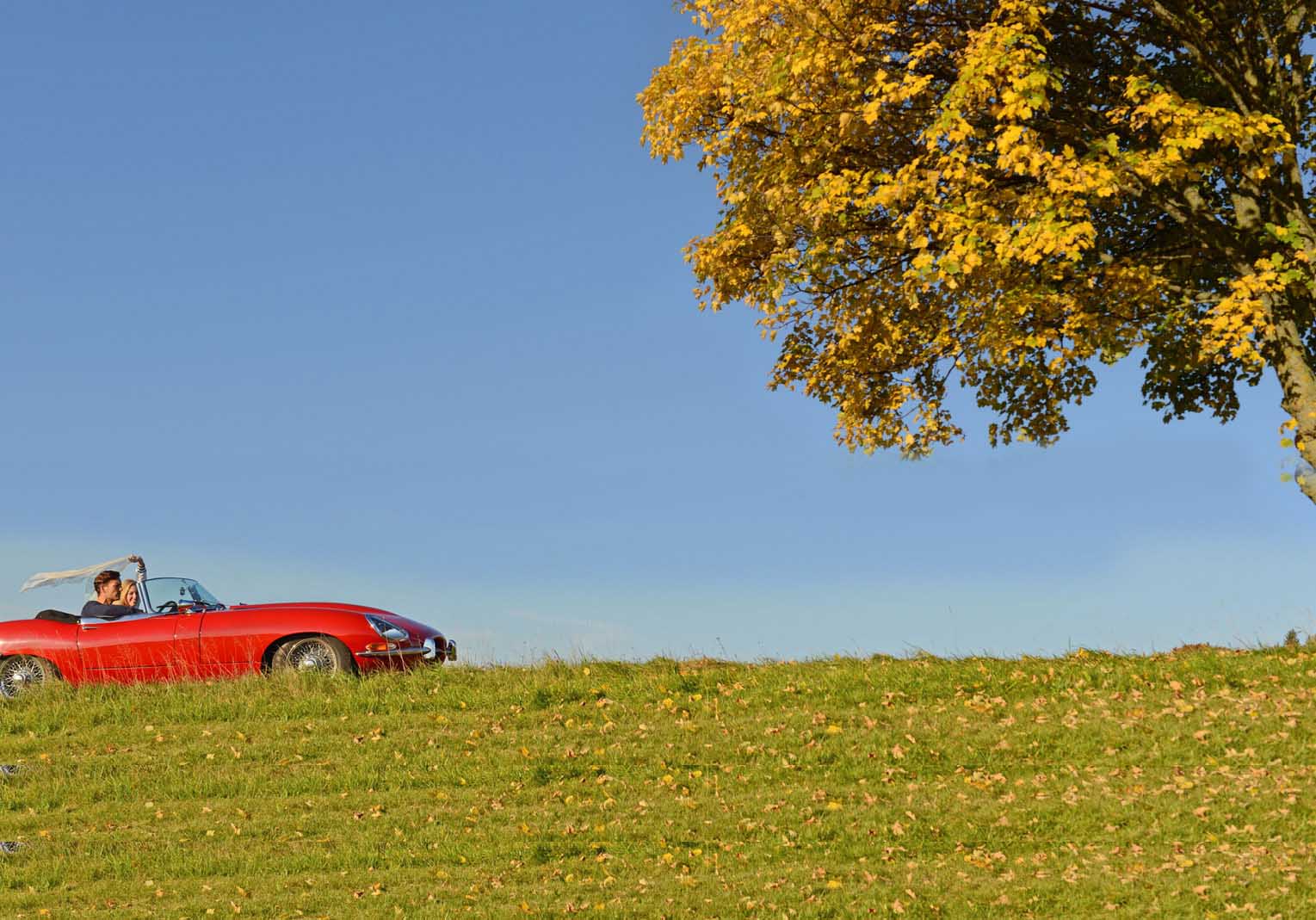 Vehicle Loans | VECU